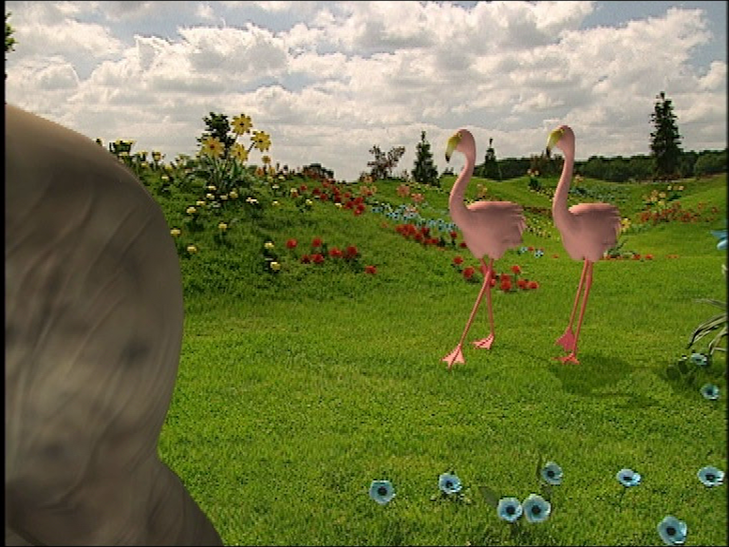 Image - Flamingos.PNG - Teletubbies Wiki Image - Flamingos.PNG - Teletubbies Wiki
