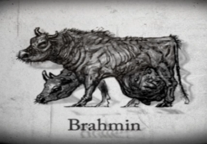 Fallout 3 creatures concept art - The Fallout wiki - Fallout: New Vegas ...