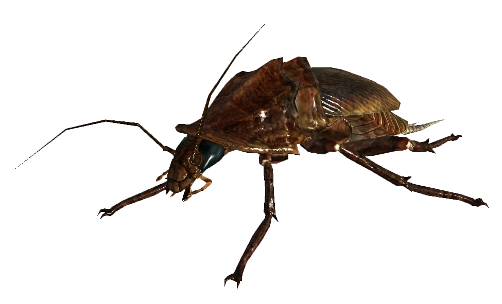 Radroach - The Fallout wiki - Fallout: New Vegas and more