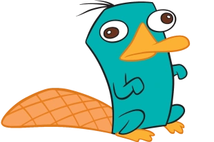 Perry l'ornithorynque - Phineas & Ferb Wiki