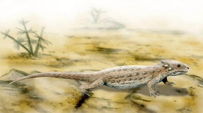 Procolophonidae - Dinopedia