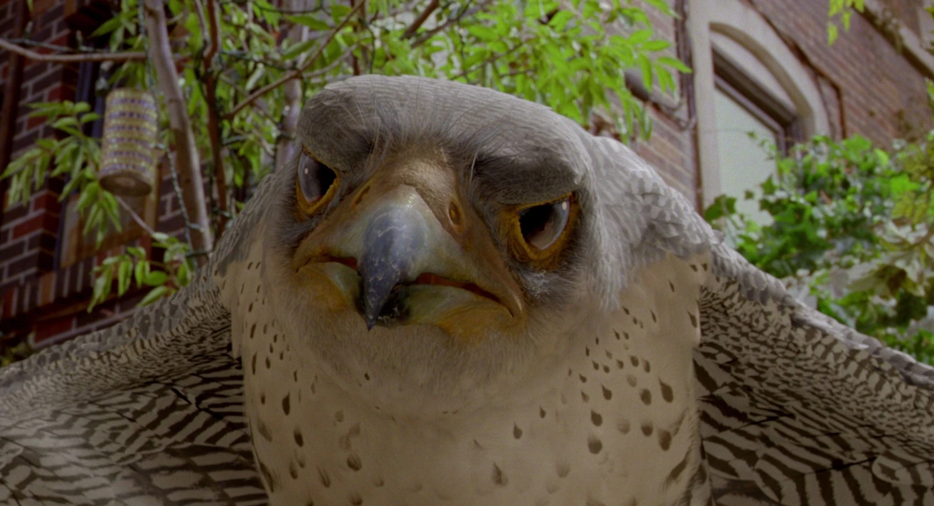 Falcon - Stuart Little Wiki