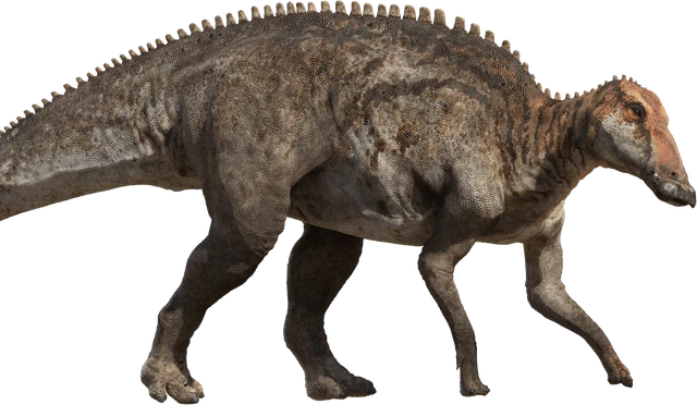 Edmontosaurus - JungleKey.fr Image #250