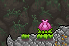 Plantera's Bulb - Terraria Wiki